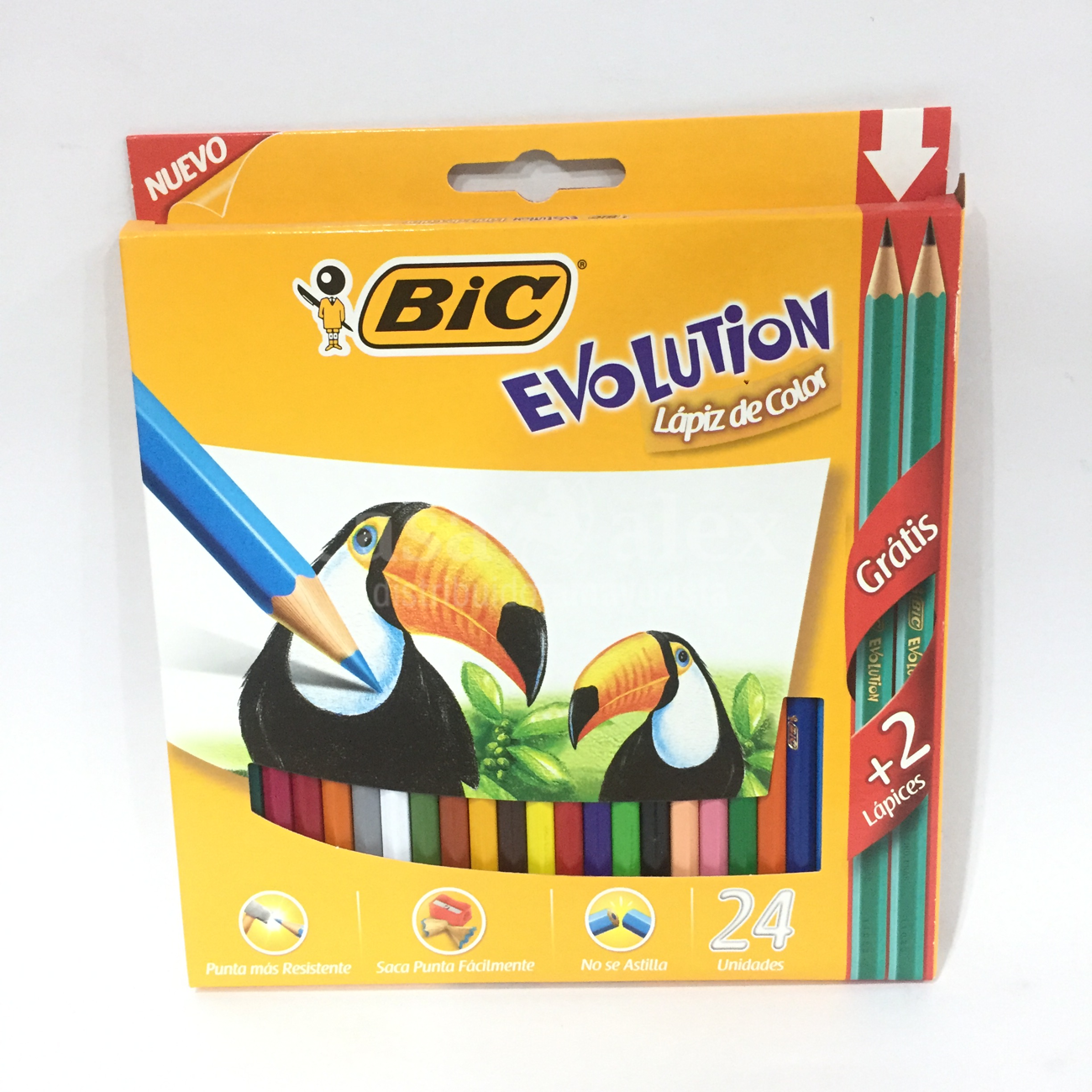 LAPIZ BIC EVOLUTION COLOR X 24 LARGO - Casa Alex - Distribuidora ...